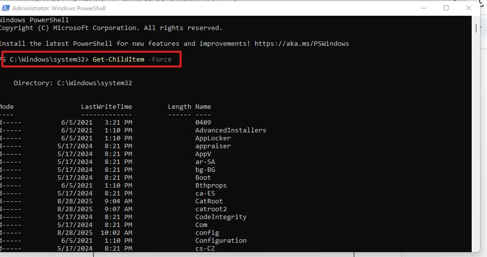 How to show hidden files in Windows 11
